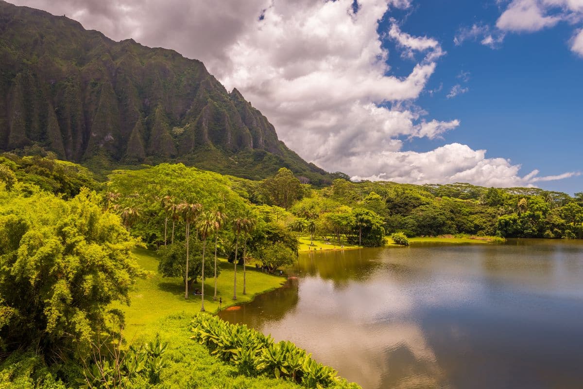 The 5 Best Things to do in Kaneohe (Oahu, Hawaii) – Kaneohe Bay Ocean ...